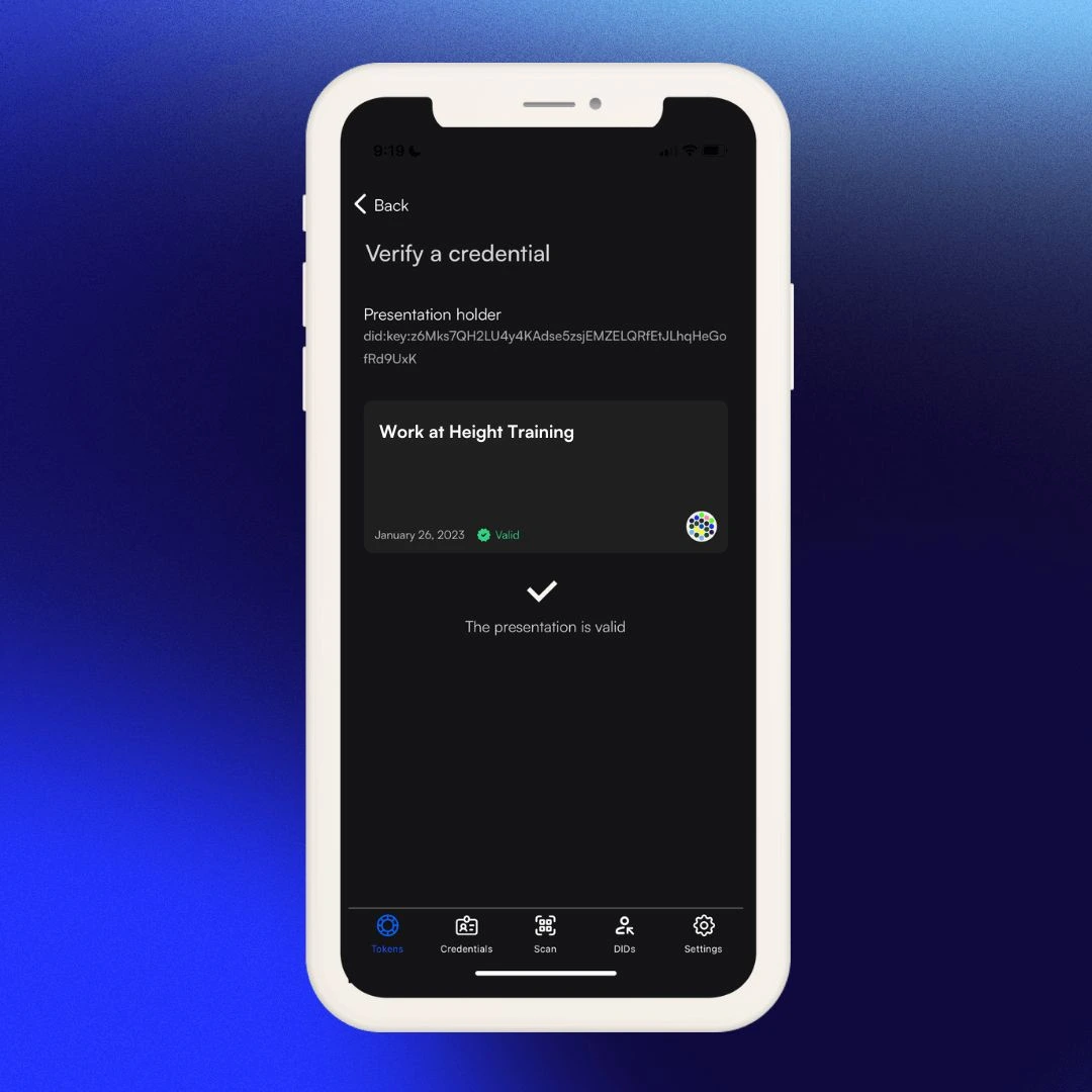 Blockchain Verification: Instant, Secure, and Efficient